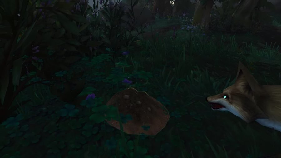 The Stoat Hunt | Blizzplanet