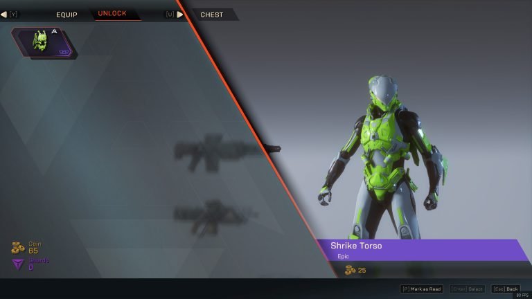 Anthem Customization: The Good | Blizzplanet